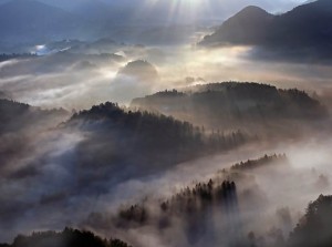 21 Examples of Delightful Natural Lights Photography