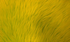 30 Awesome Fur Textures
