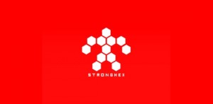 Symmetrical Logo Design - 35 Examples