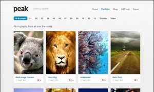25 Beautiful Pinterest WordPress Themes