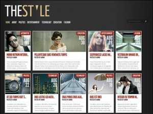 25 Beautiful Pinterest WordPress Themes
