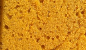 25 Free Sponge Textures For Your Next Project